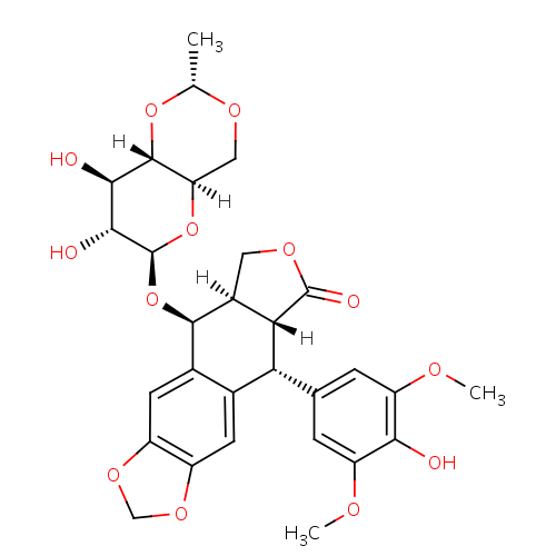 Pharmacology Of Etoposide