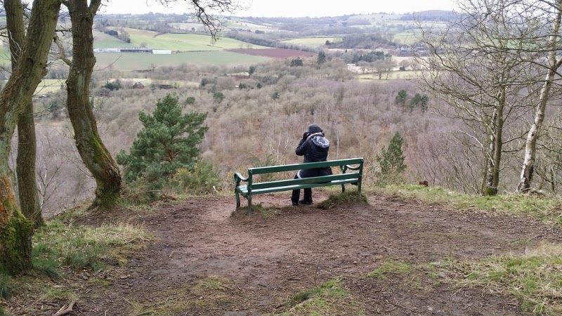 Lucy's Wednesday walks: Kinver Edge walk. More rock houses