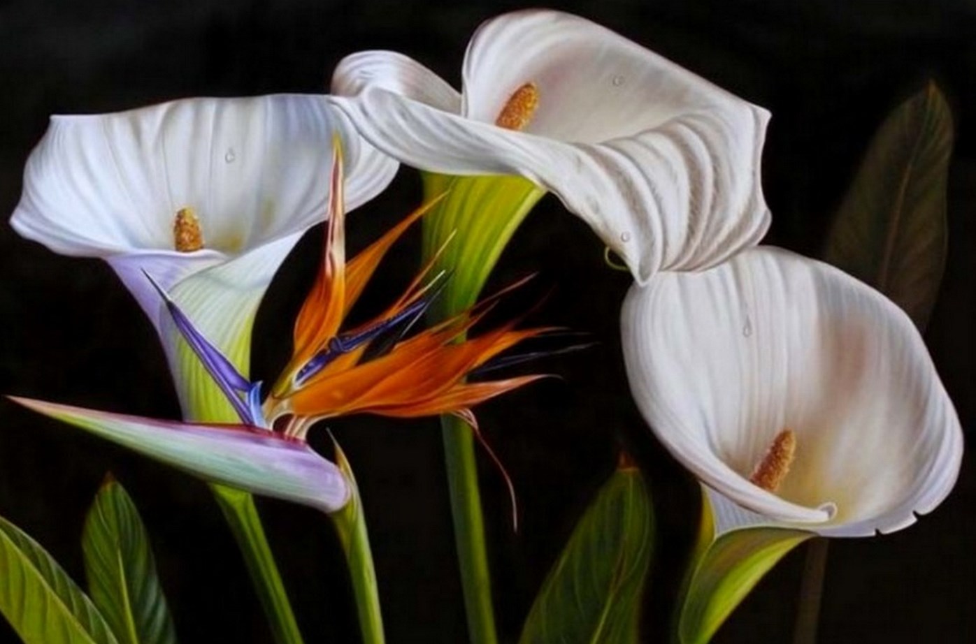 El arte es su máxima expresión : Flores Exóticas: Pintura Moderna