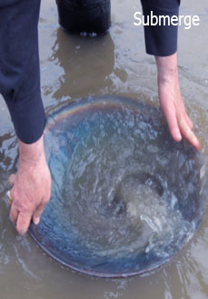 Domestic Animals Name Meaning & Image | Necessary Vocabulary ...