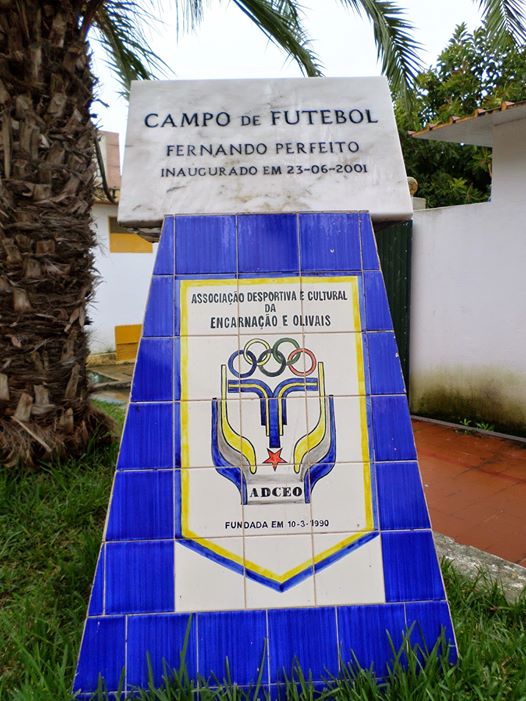 Blog de Albergaria: Fernando Corujo Pinto Perfeito, comerciante e ...