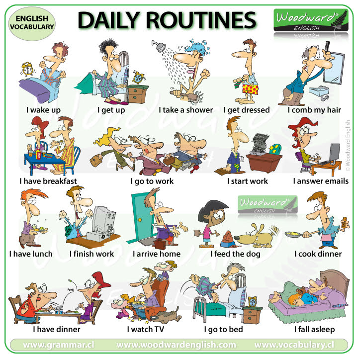 Fly me to the broom: Daily routines