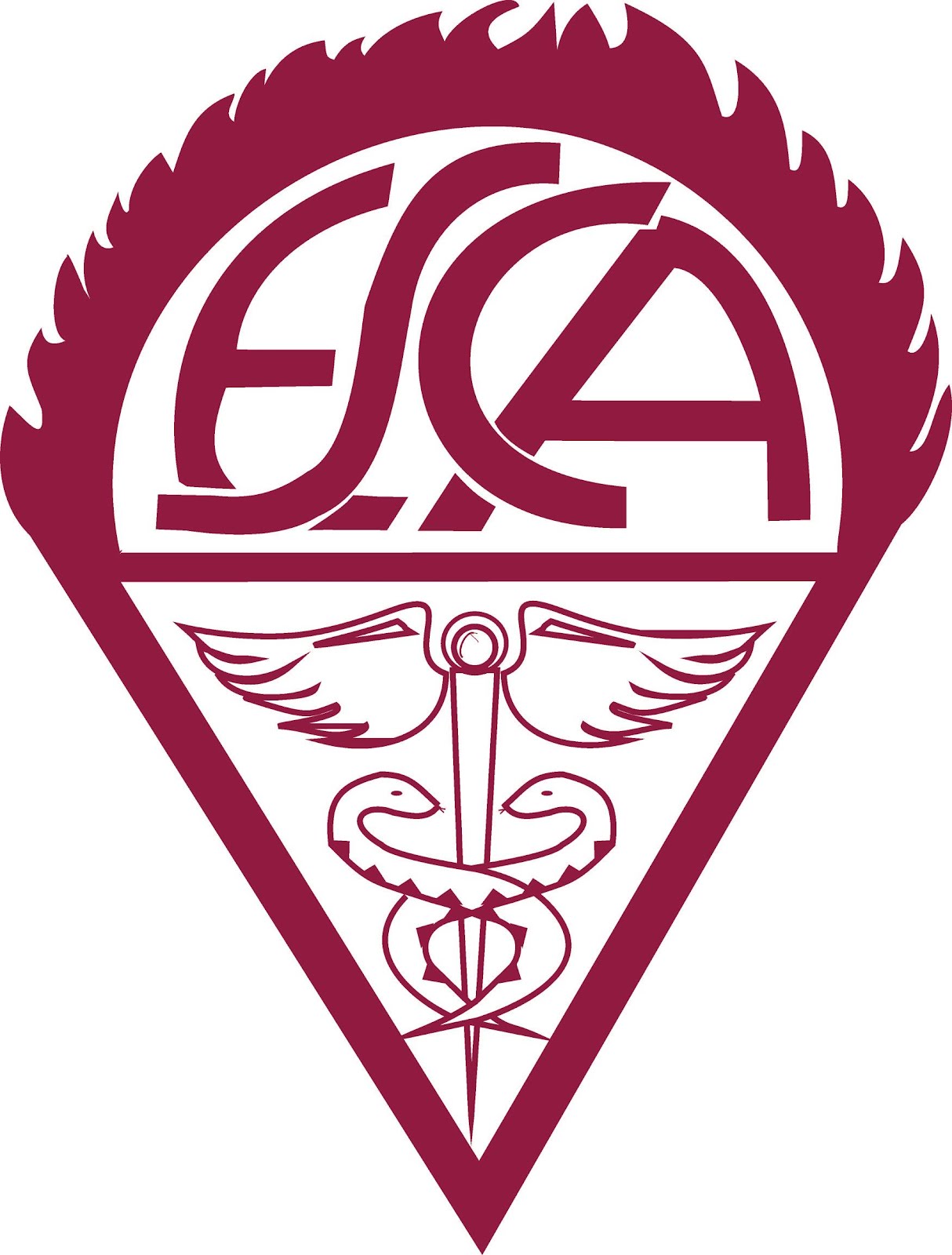 ESCA (Escuela Superior de Comercio y Administración) Tepepan: Historia ...