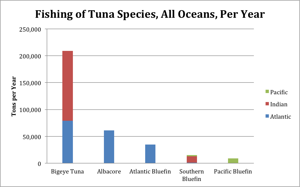 Bluefin Tuna Overexploitation: Background