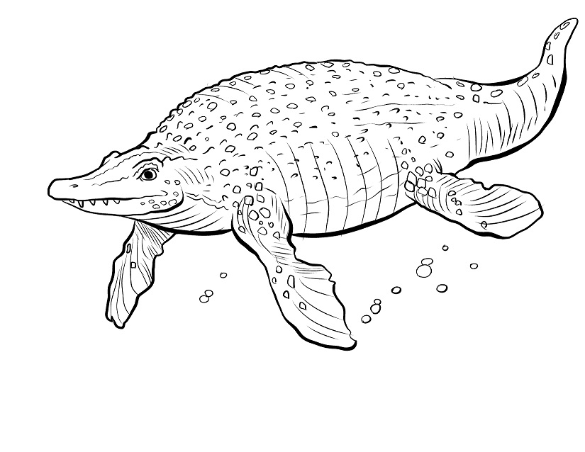 Waxing Paleontological: Tubby, Armored Sea Lizards of the Triassic