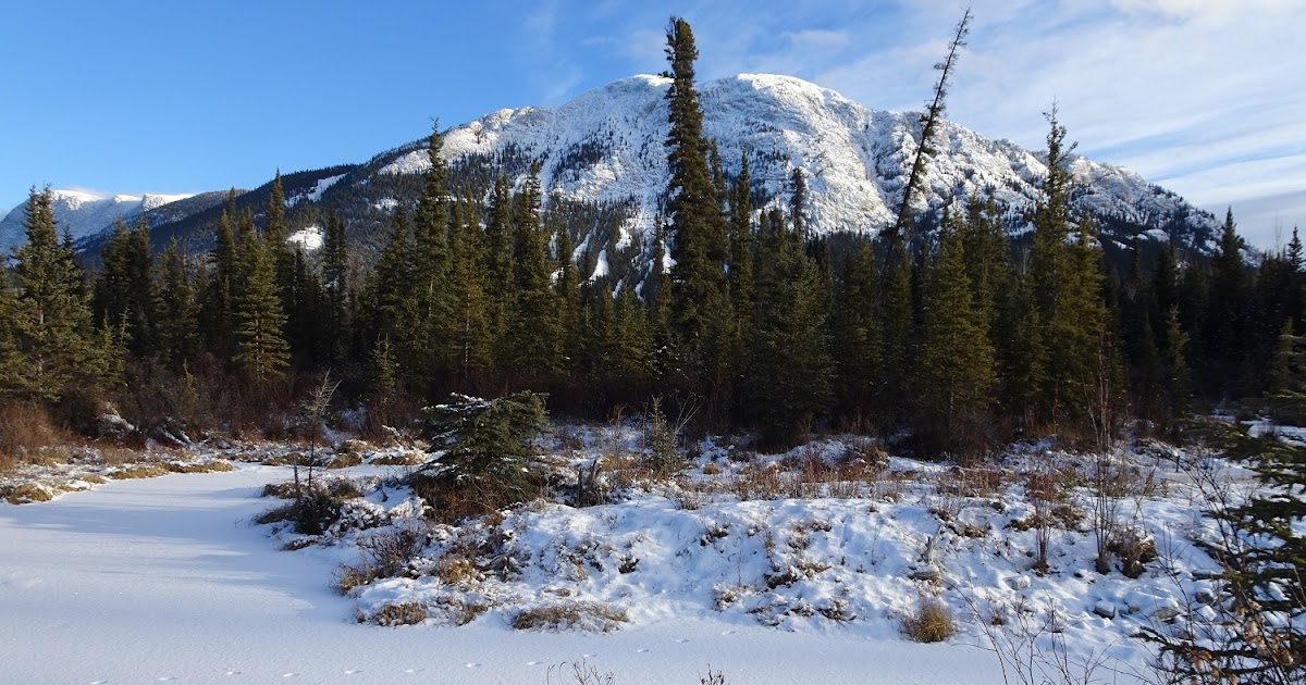 YukonNewsletter: Winter im Yukon?