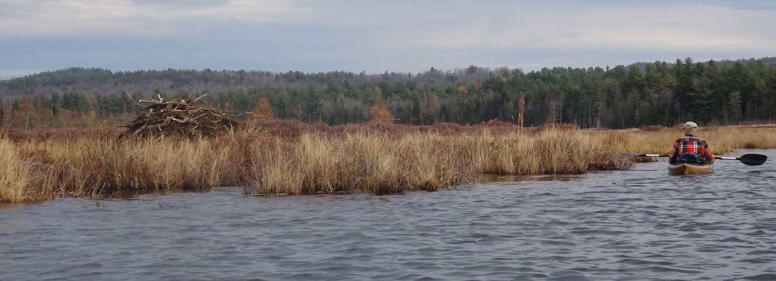 Outdoor Enthusiast: Kayaking McDaniel's Marsh Wildlife Management Area ...