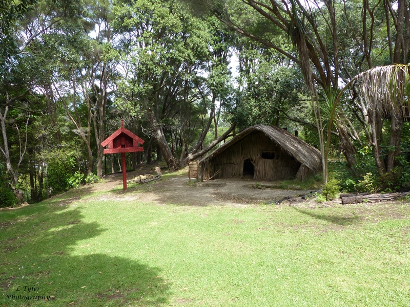 How Many Dolls?: Rewa's Village, Kerikeri, New Zealand.
