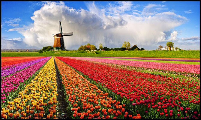 ZIUA NAŢIONALĂ A OLANDEI - 27 APRILIE