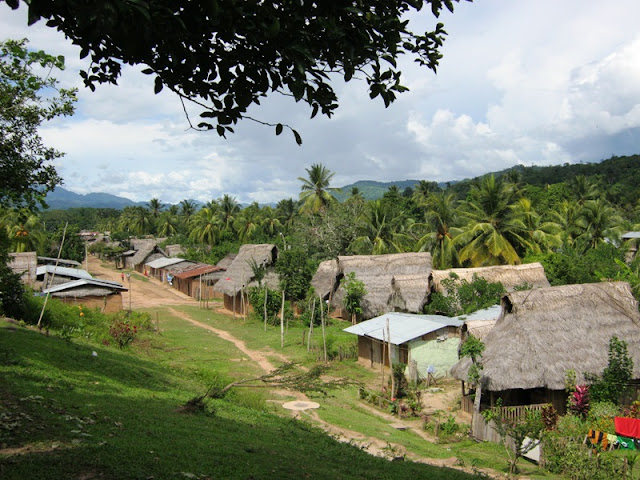 Turismo y Cultura Amazónica: Los encantos del distrito de Chazuta y sus ...
