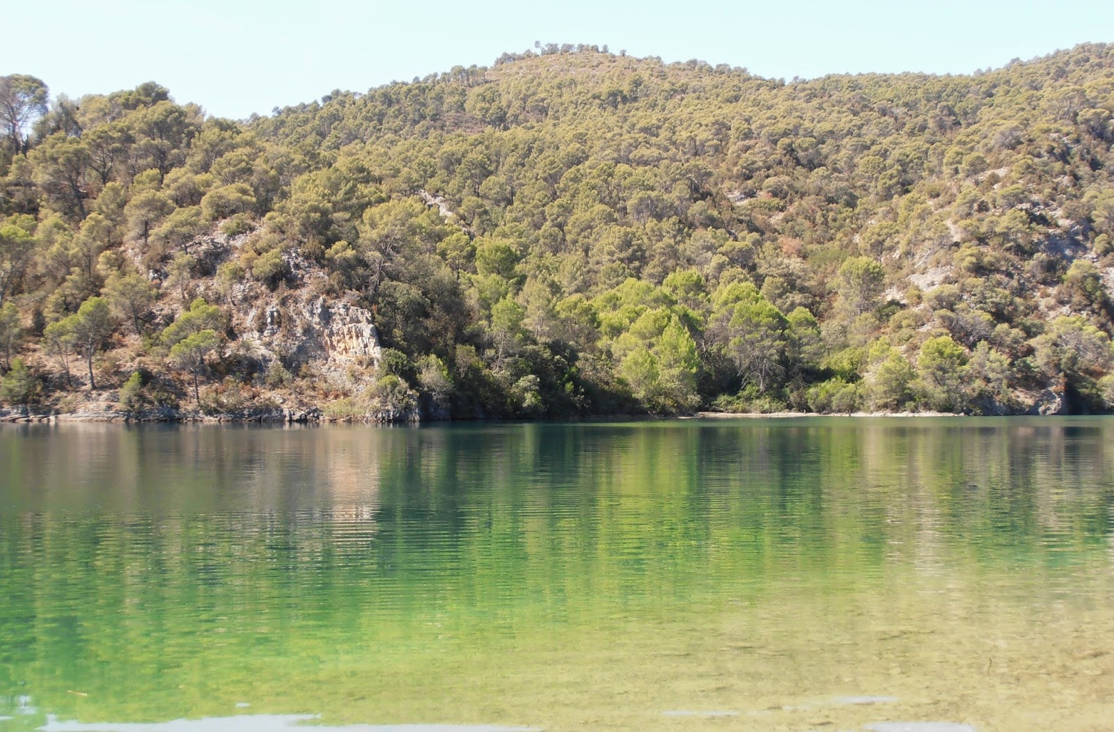 Antonio Almazán: JUNIO EN EL LAGO BOLARQUE
