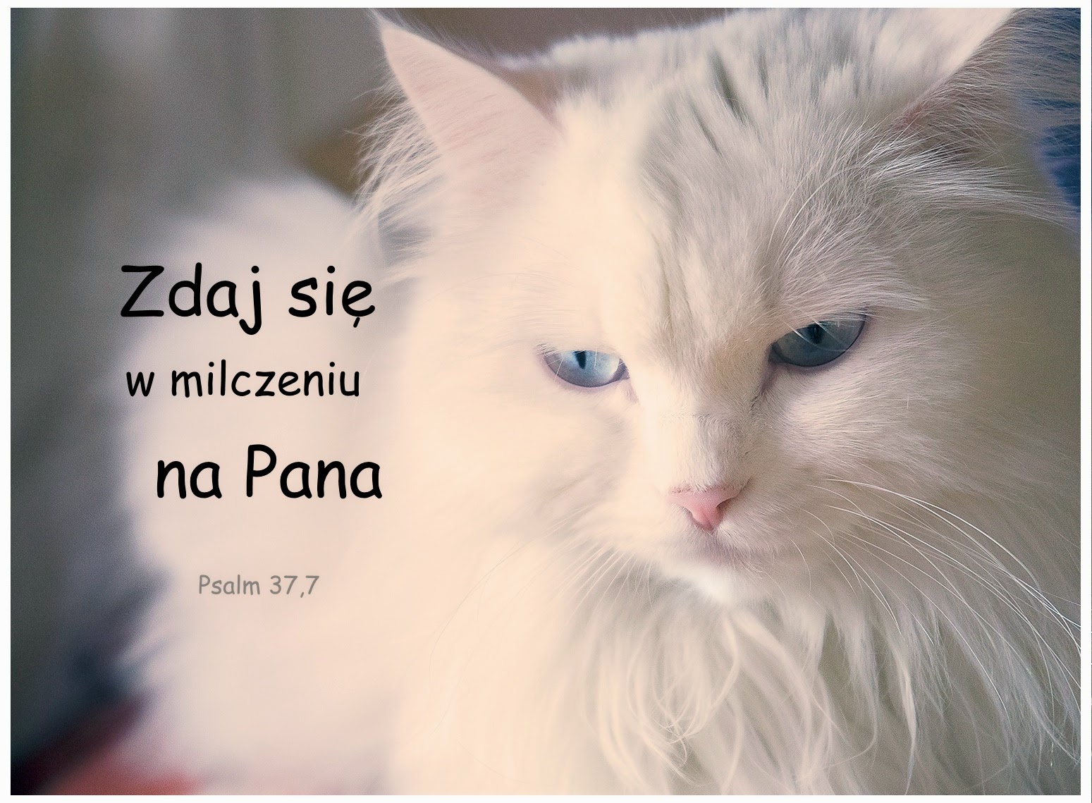Slowo Pana Trwa Na Wieki Psalm 37 7 slowo-pana-trwa-na-wieki-psalm-37-7