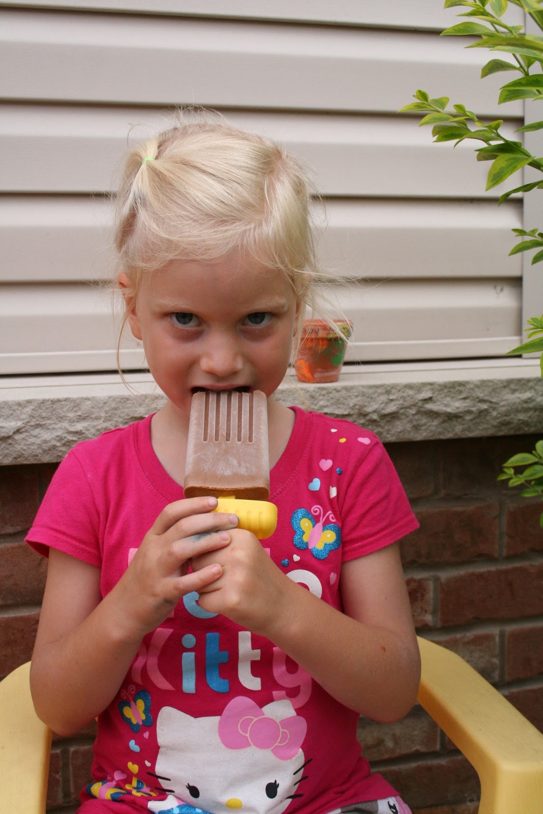 The Healthy Happy Wife: Fudgesicles or Chocolate Popsicles; 2 Recipes ...