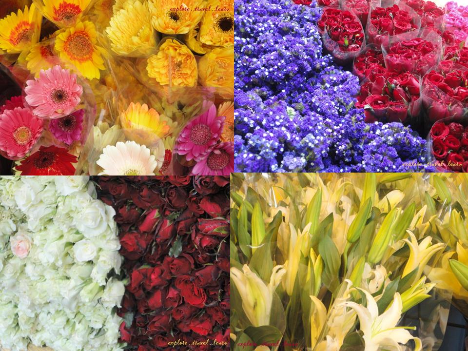 explore . travel . learn: DANGWA: Fresh Flower Market