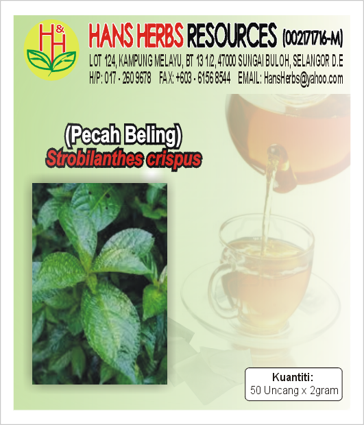 HanS HerbS ResOurces: PECAH BELING