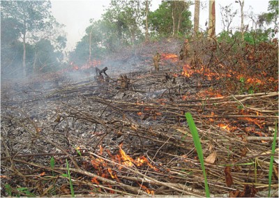 Mizoram Allocates Rs.410 crore To End 'Jhum Cultivation' | Sinlung