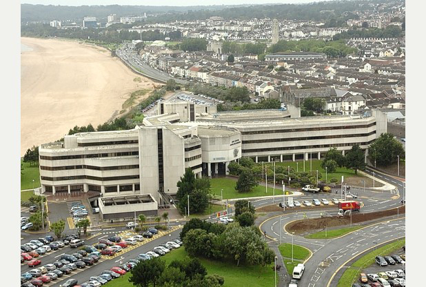 snakeappletree: stylism&civic