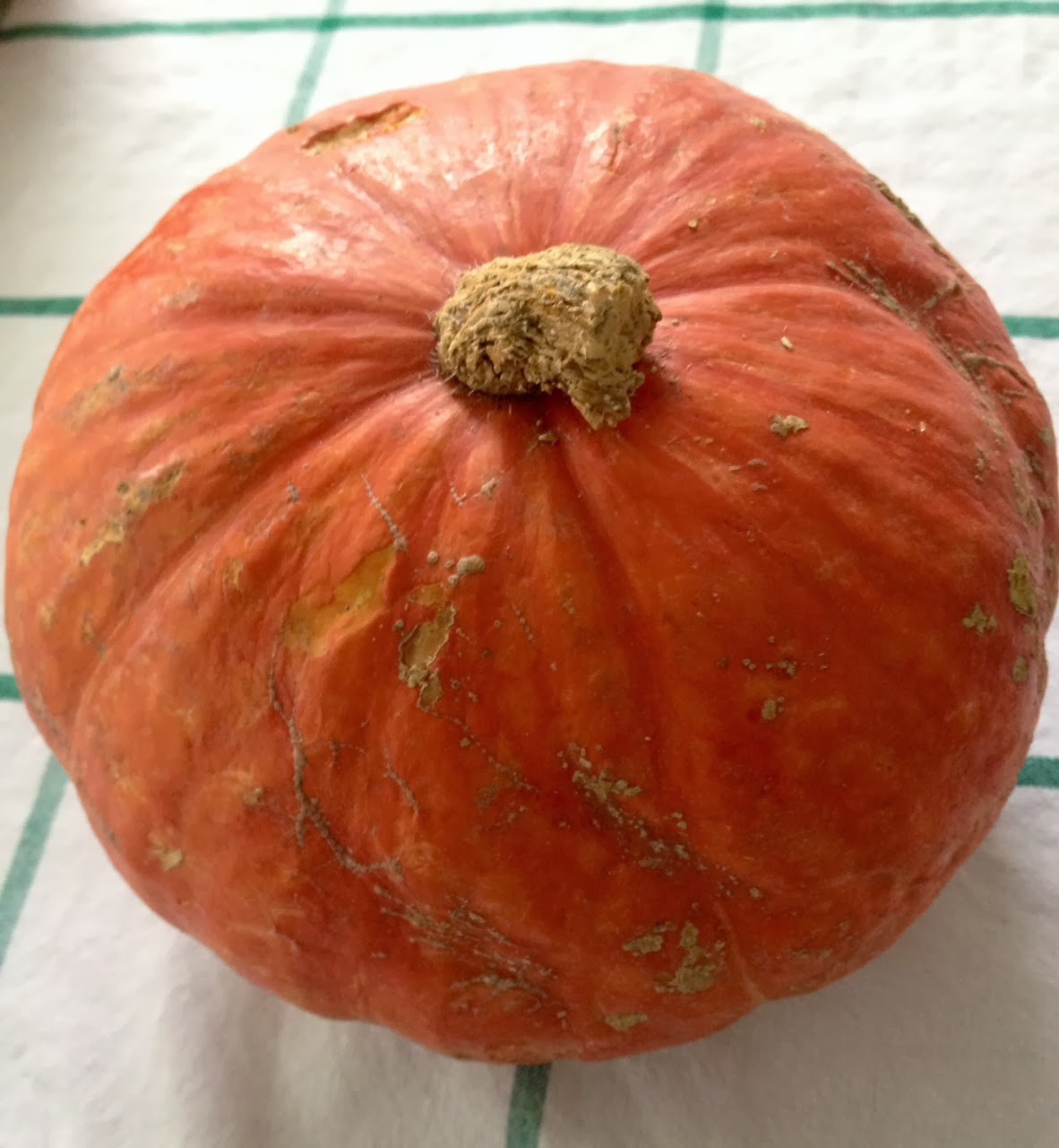 To Market, To Market with San Diego Foodstuff: Clay Pot Winter Squash