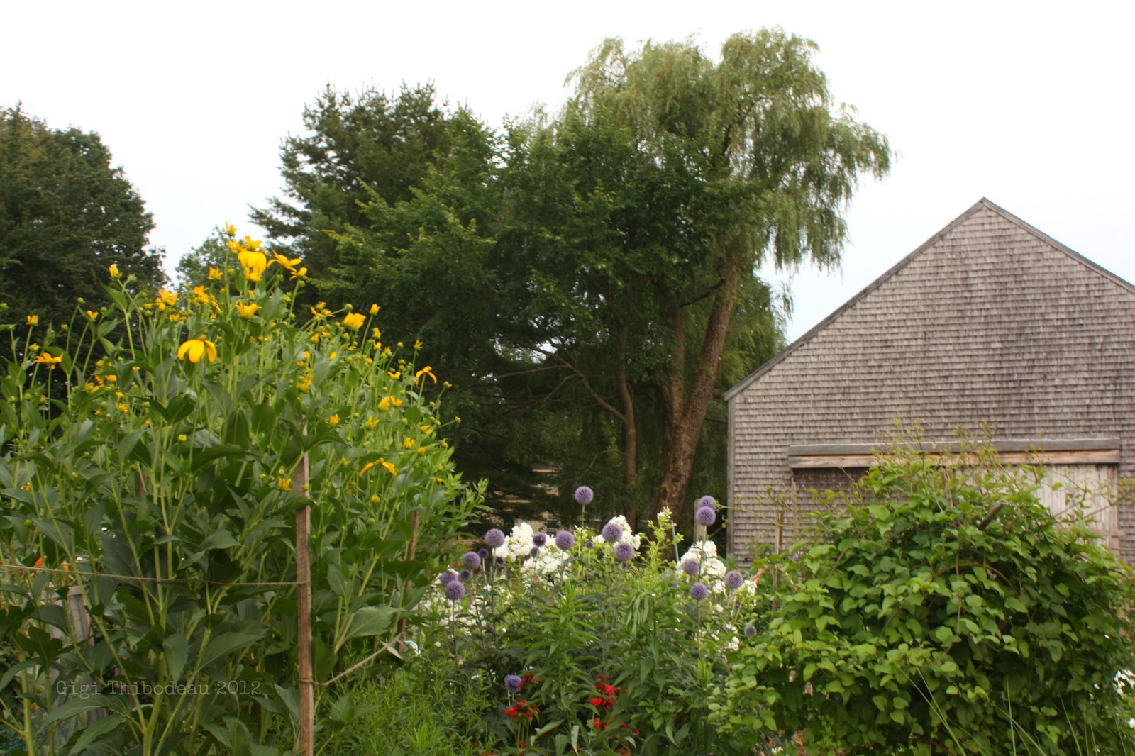 The Magpie's Fancy: Garden Inspiration