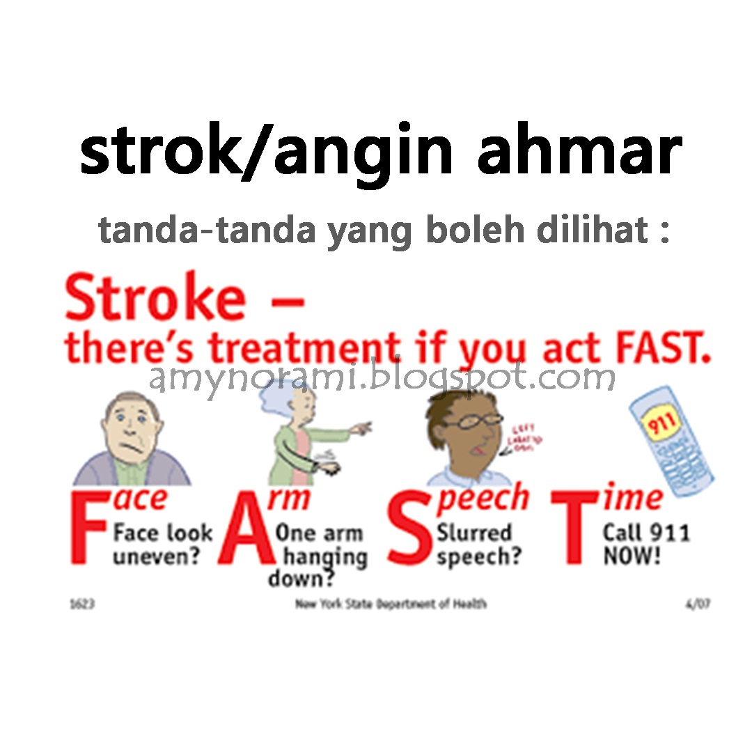 Mencari Penawar Penyakit Strok atau Angin Ahmar - amynorami.com