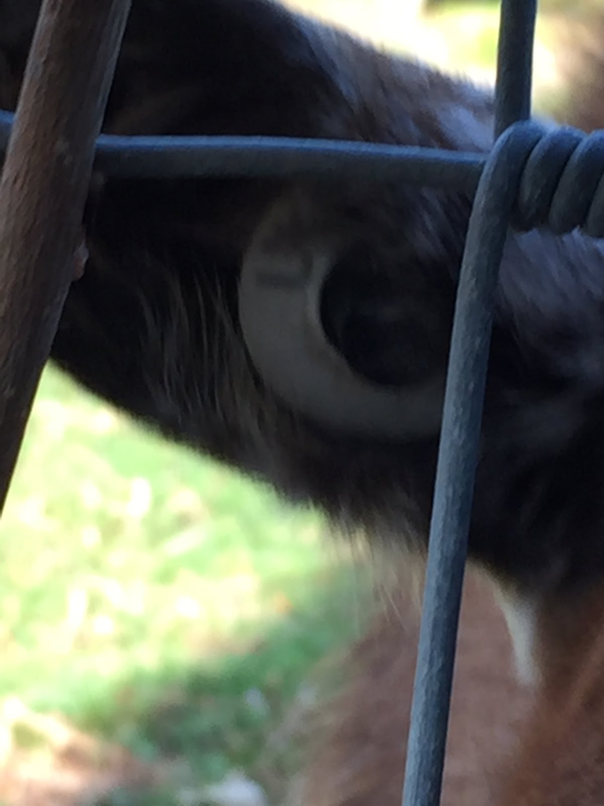 Trinity Bale's GCSE Media Blog: 2018