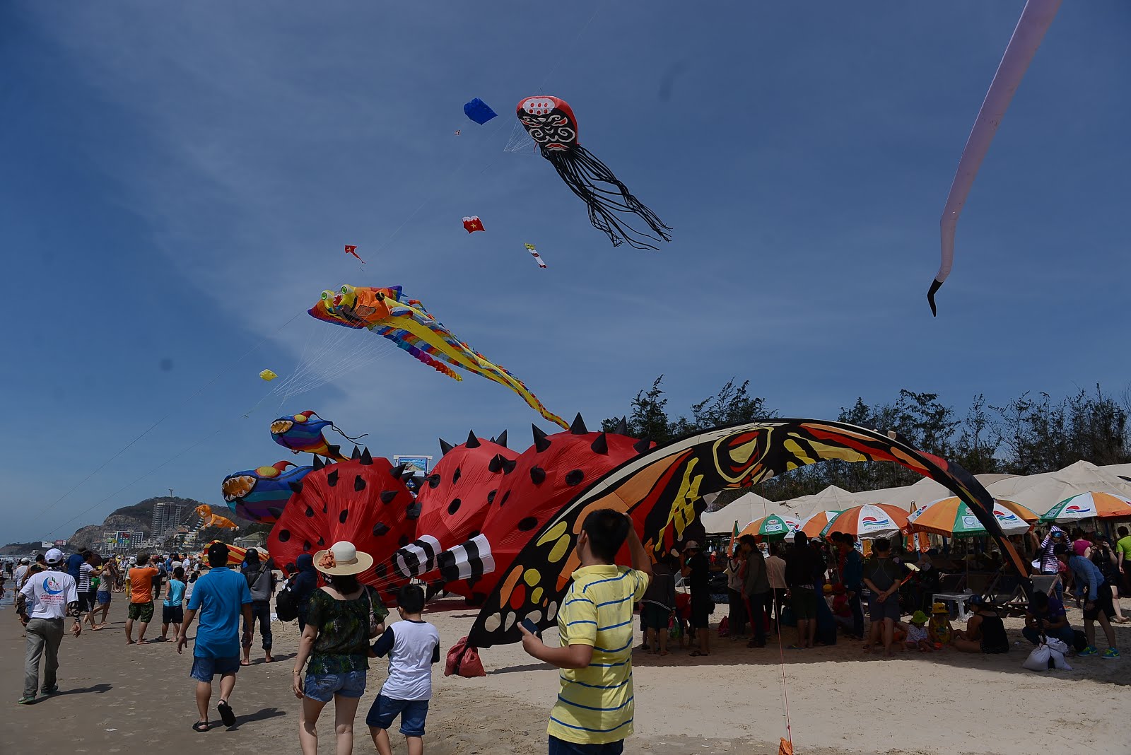Wau & Kites: Vung Tau, Vietnam 6th 2015 International Kite Festival