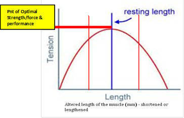 Move to Improve: What is a Lateral Shift & Why Does It Matter?