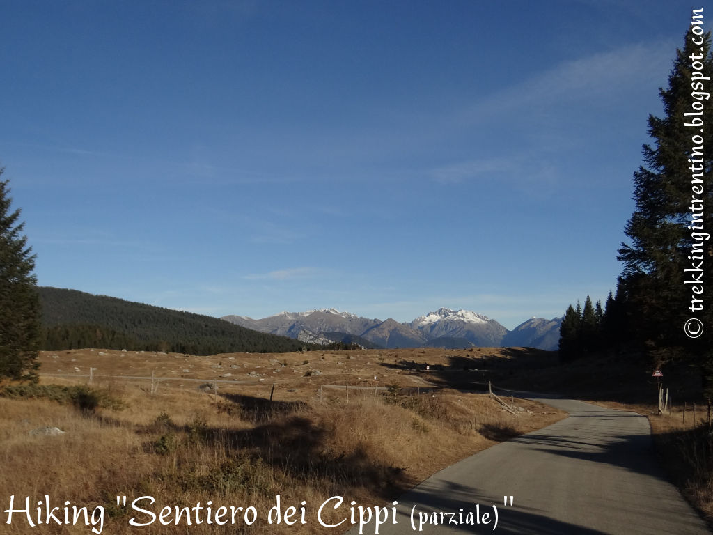 Trekking in Trentino: Sentiero dei Cippi