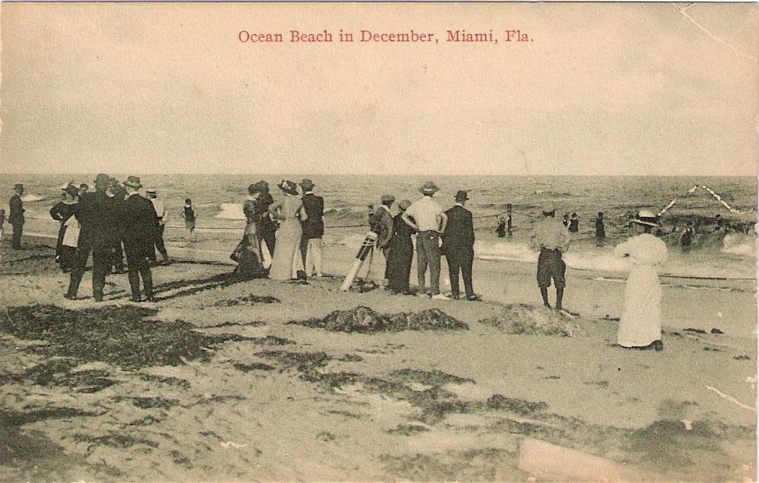 Miami Beach 100