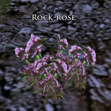 Myndariel's Middle Earth : Flowers of North Ithilien