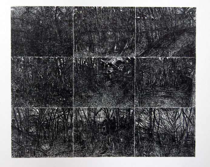 Drawing : Contemporary Landscape Drawing