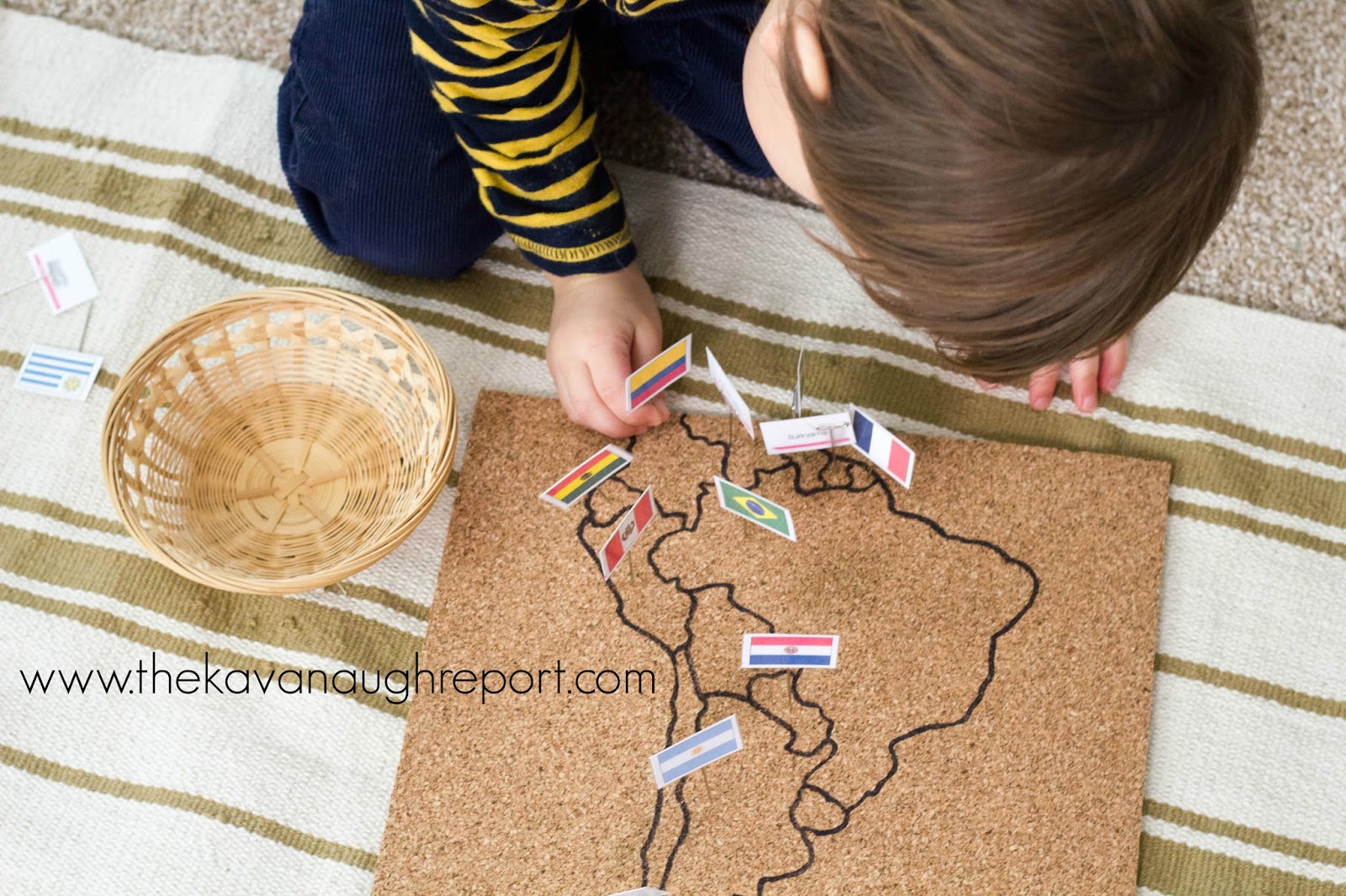 DIY Montessori Flag Pin Map