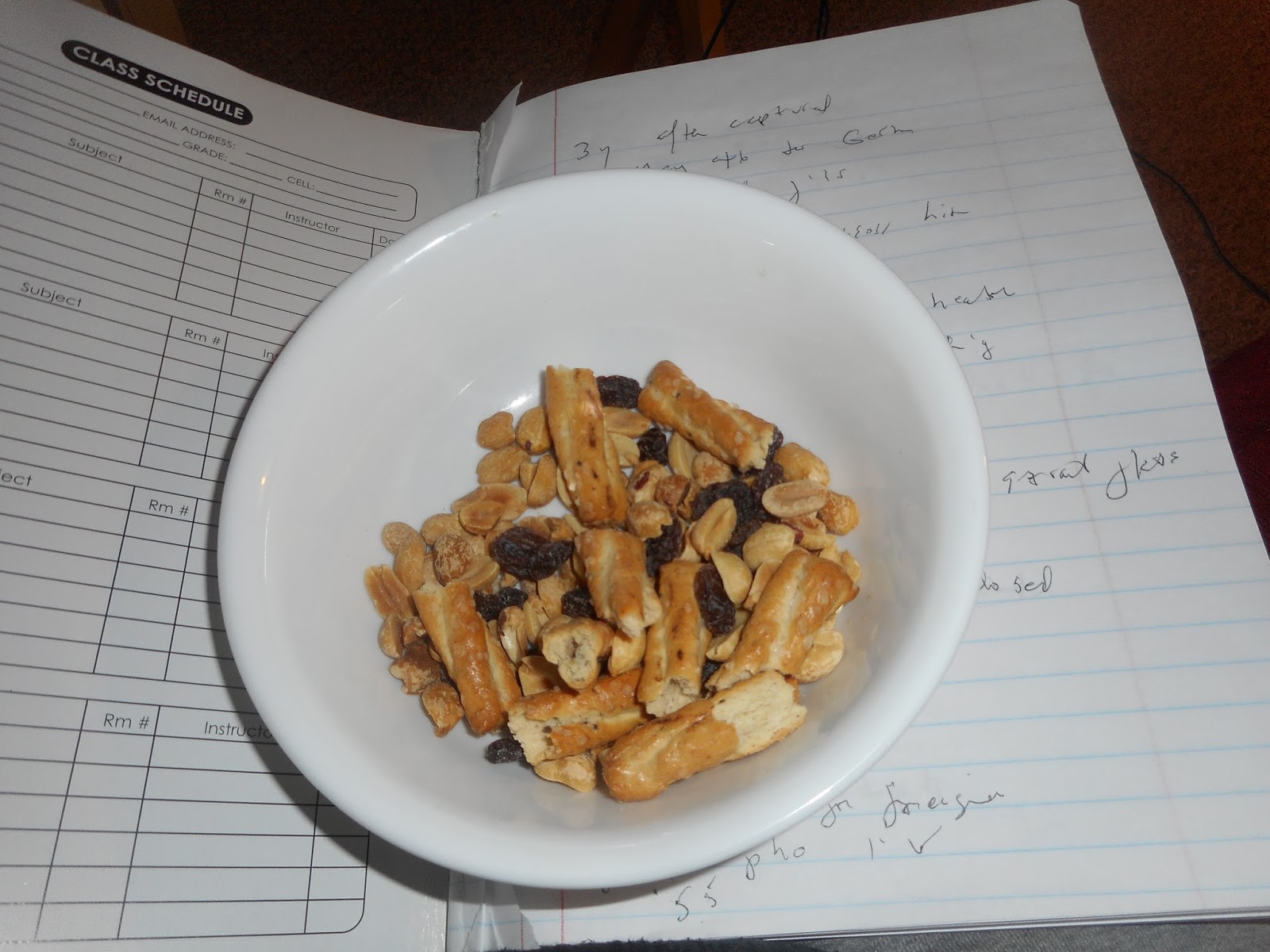 The Belle of Cowbell: The Bipolar Therapist from Willow Grove, PA ...