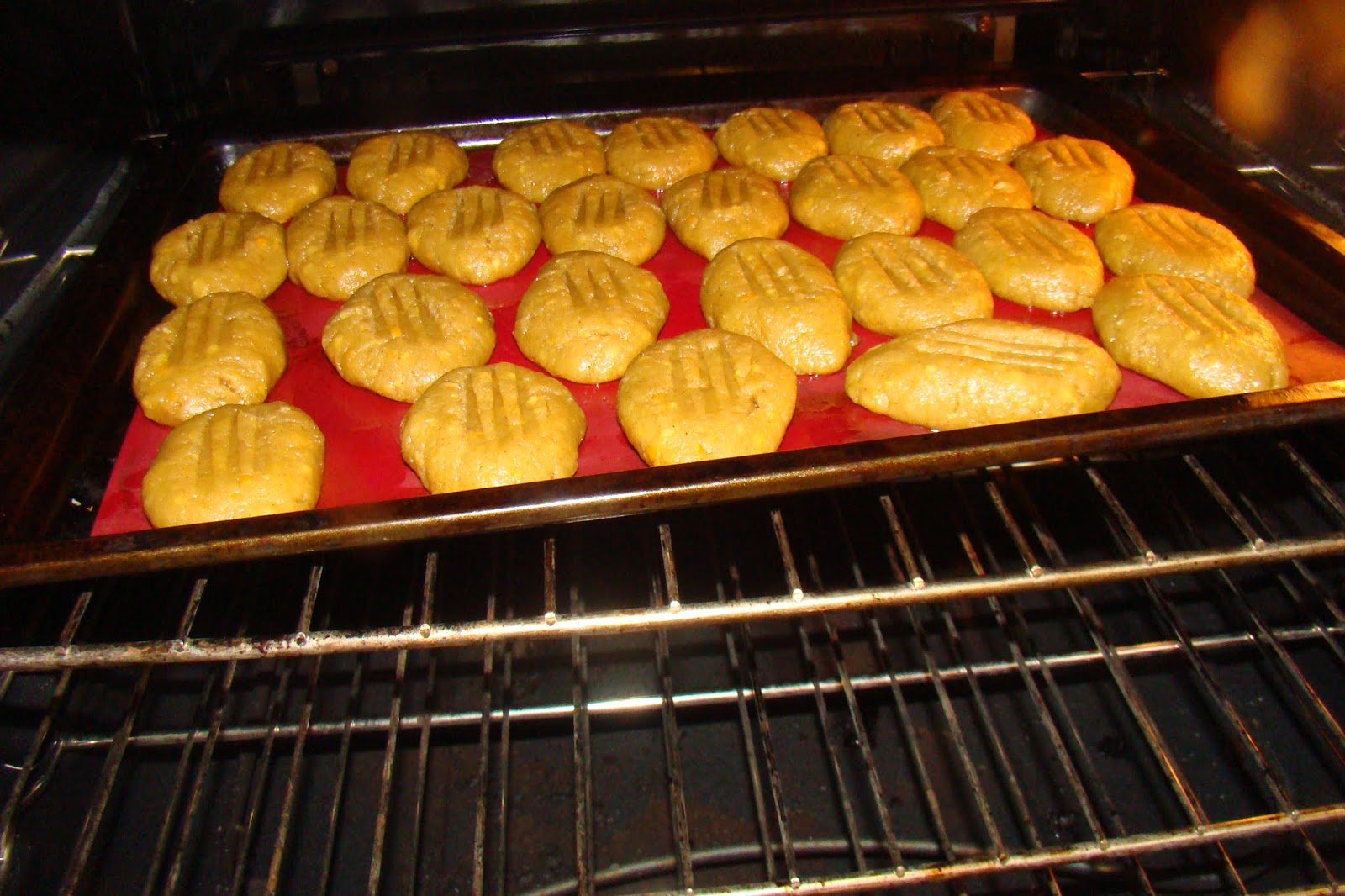 My Favorite Recipes Collection: Nuts filled Finikia/Melomakarona: Greek ...