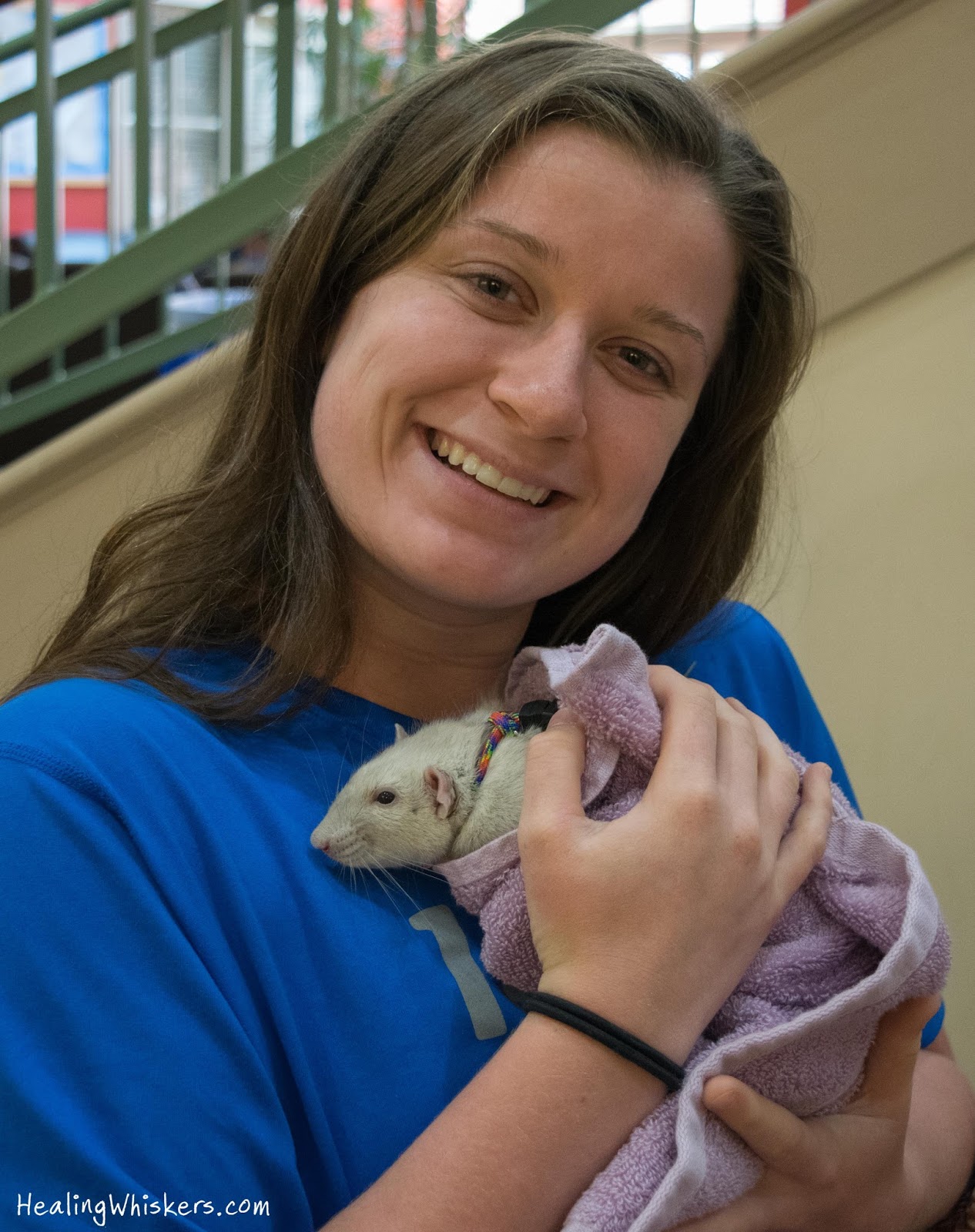 Healing Whiskers: Life of a Therapy Rat: Fall 2017