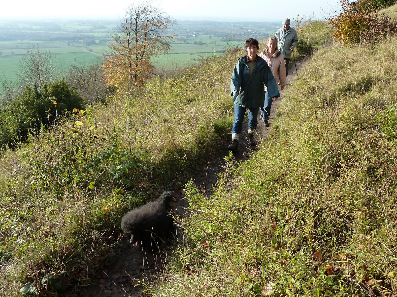 Devizes Days in Words and Pictures 2015: A Walk Over Roundway Down.