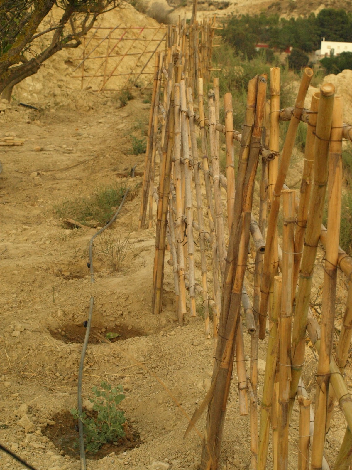 Espacio Educativo La Oropéndola: VAYA CON LA VALLA!!!