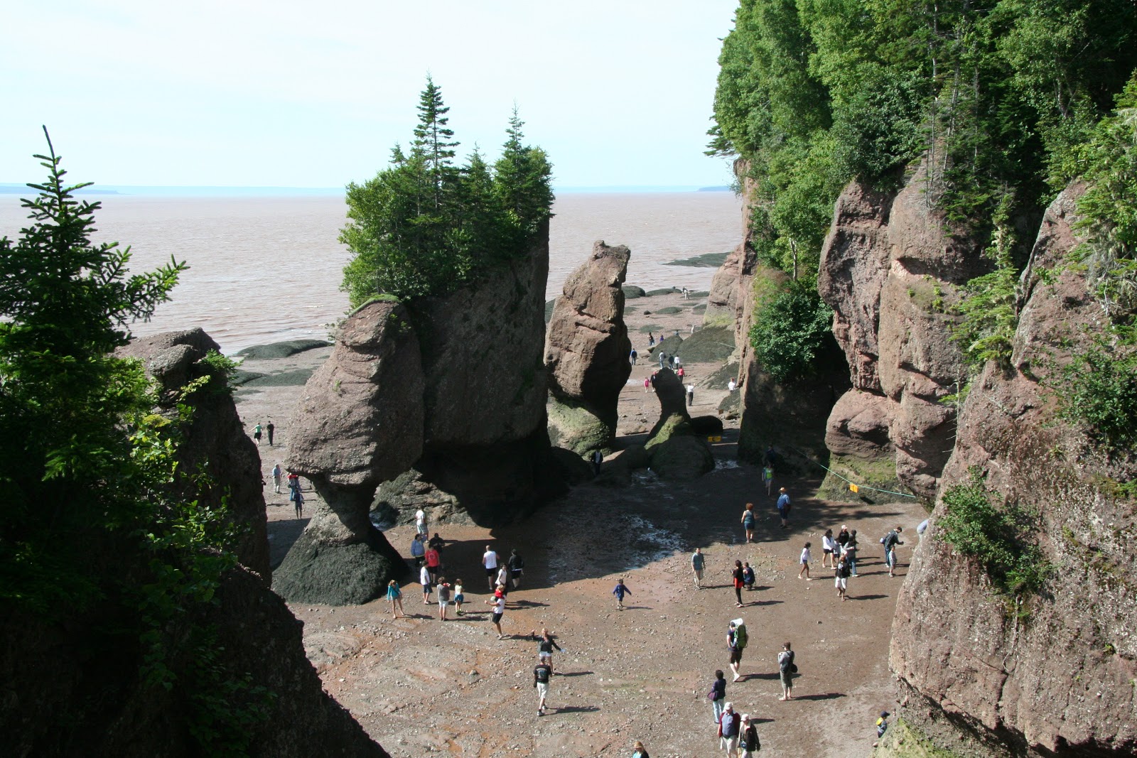 The Burke's Canadian Travels: Hopewell Rocks