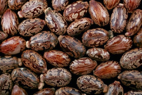 AMAZING FACTS OF LIFE: The 15 Deadliest Poisons In The World