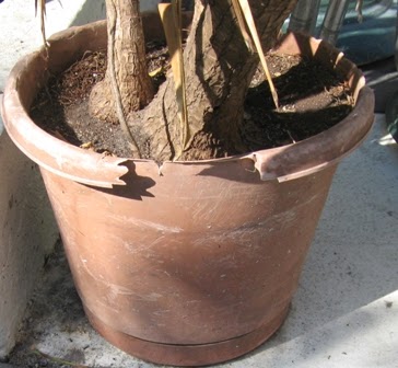 Garden Planters