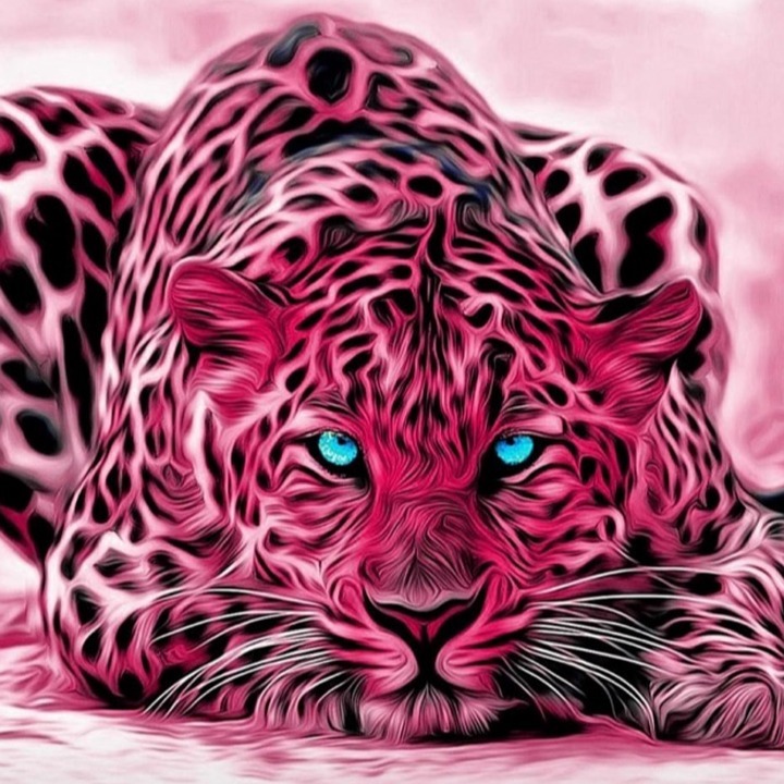 CANDOMBEROS ! ! !: TIGRE ROSA