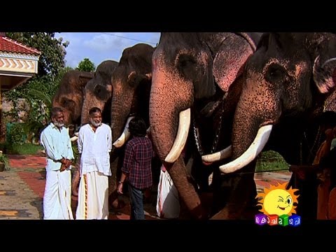 Mangalamkunnu Karnan