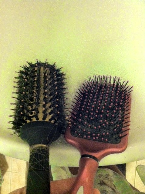 Mudpipes and Glitter: Clean Your Brushes & Brush 101