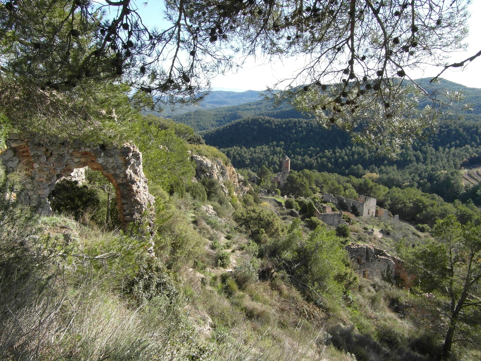 Rutas y rincones del Alt Camp: Castillo de Selma