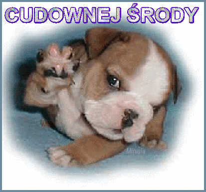 Dzień Dobry: Animowane obrazki , gify i wierszyki - środa