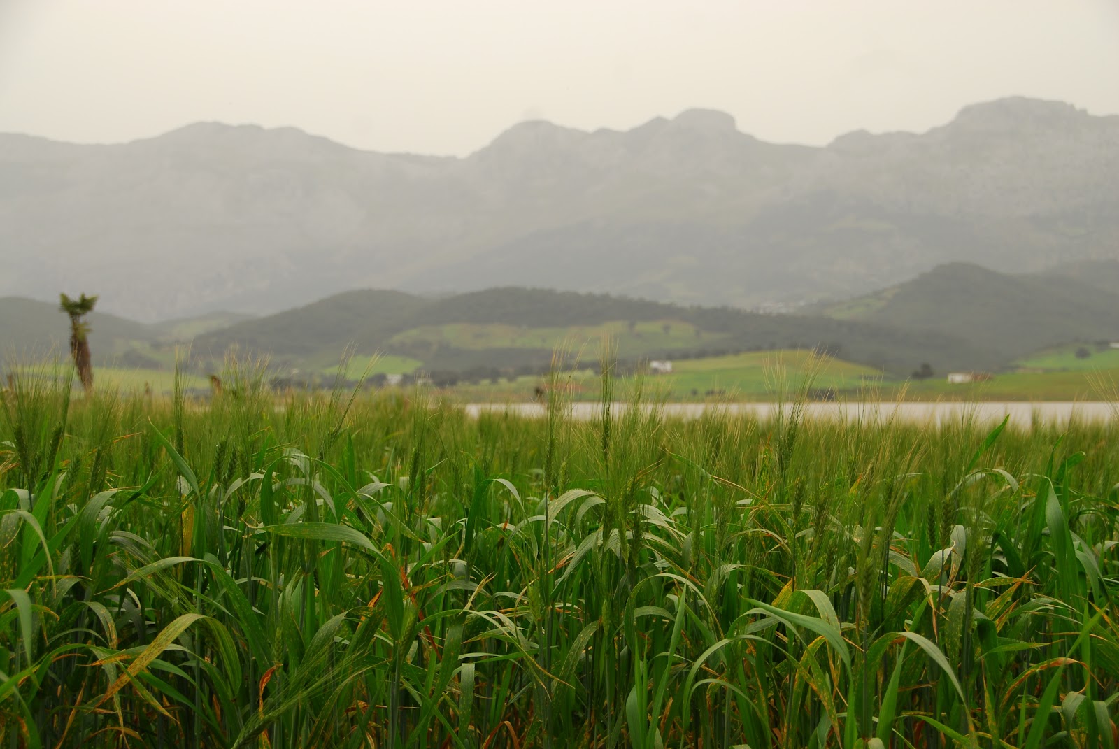 Turismo & Desarrollo: ¿NECESIDAD DE UN PIB VERDE QUE MIDA LA RIQUEZA DE ...