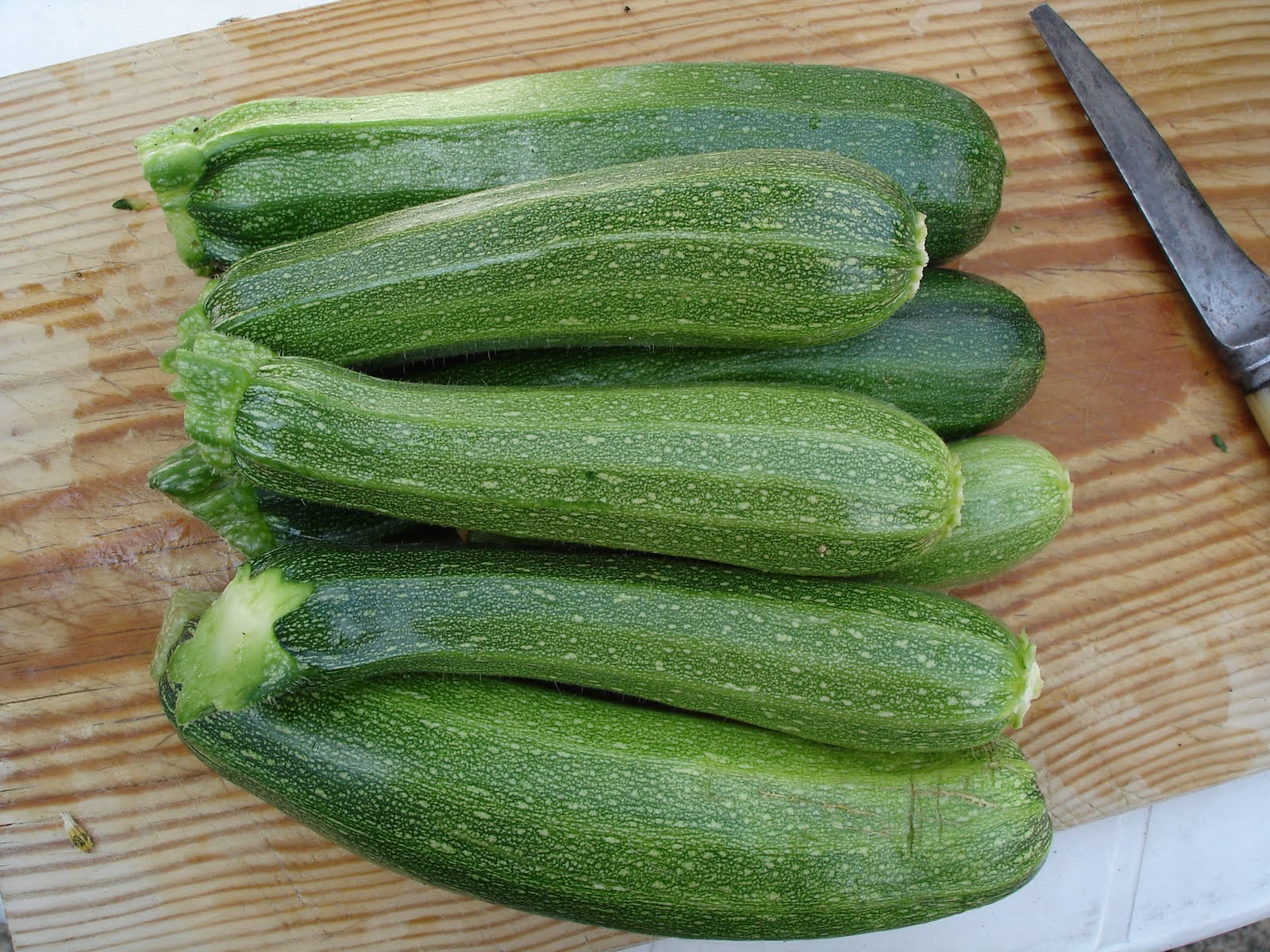 Down on the Allotment: Too many Courgettes?