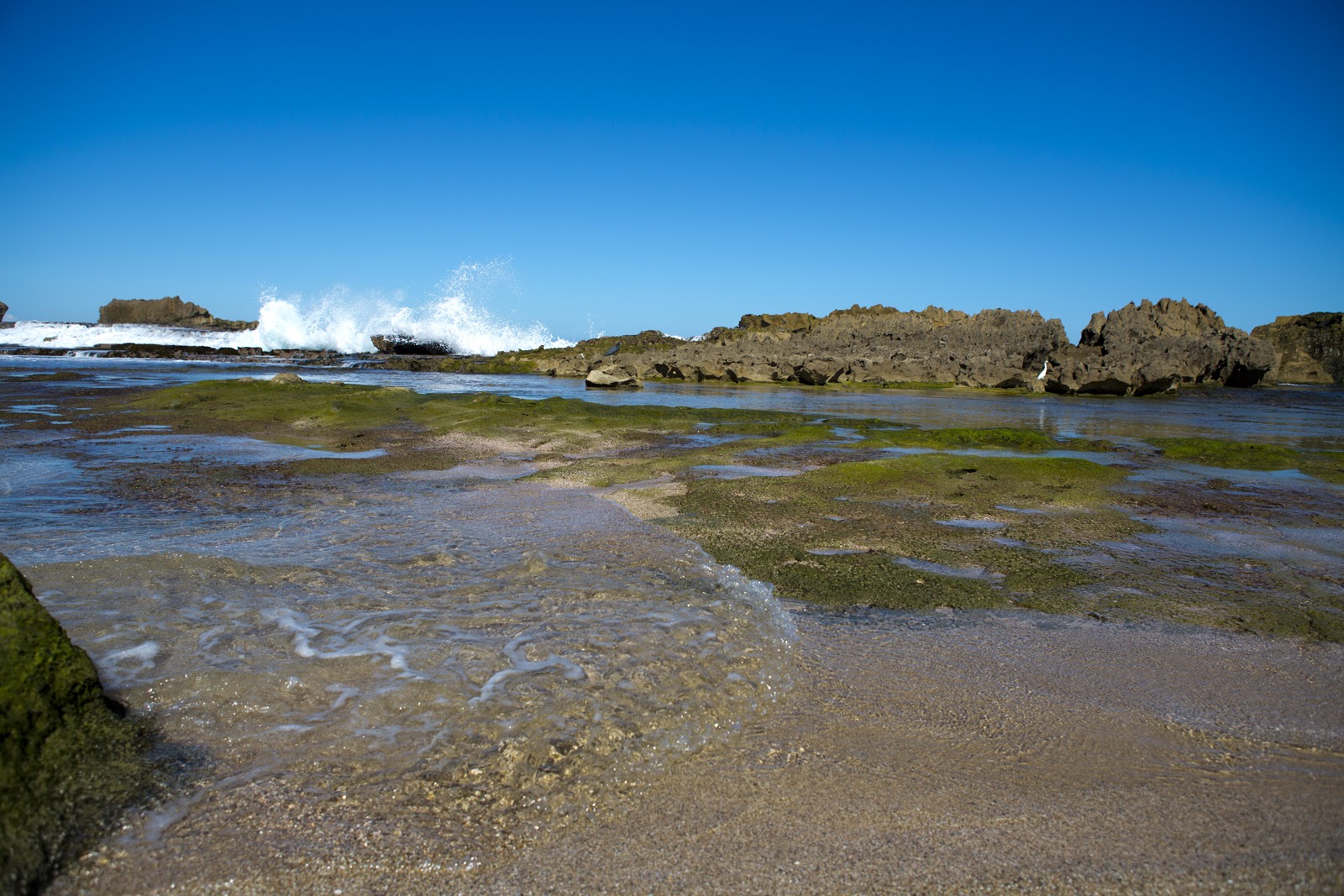Under The Radar: Isabela, Puerto Rico