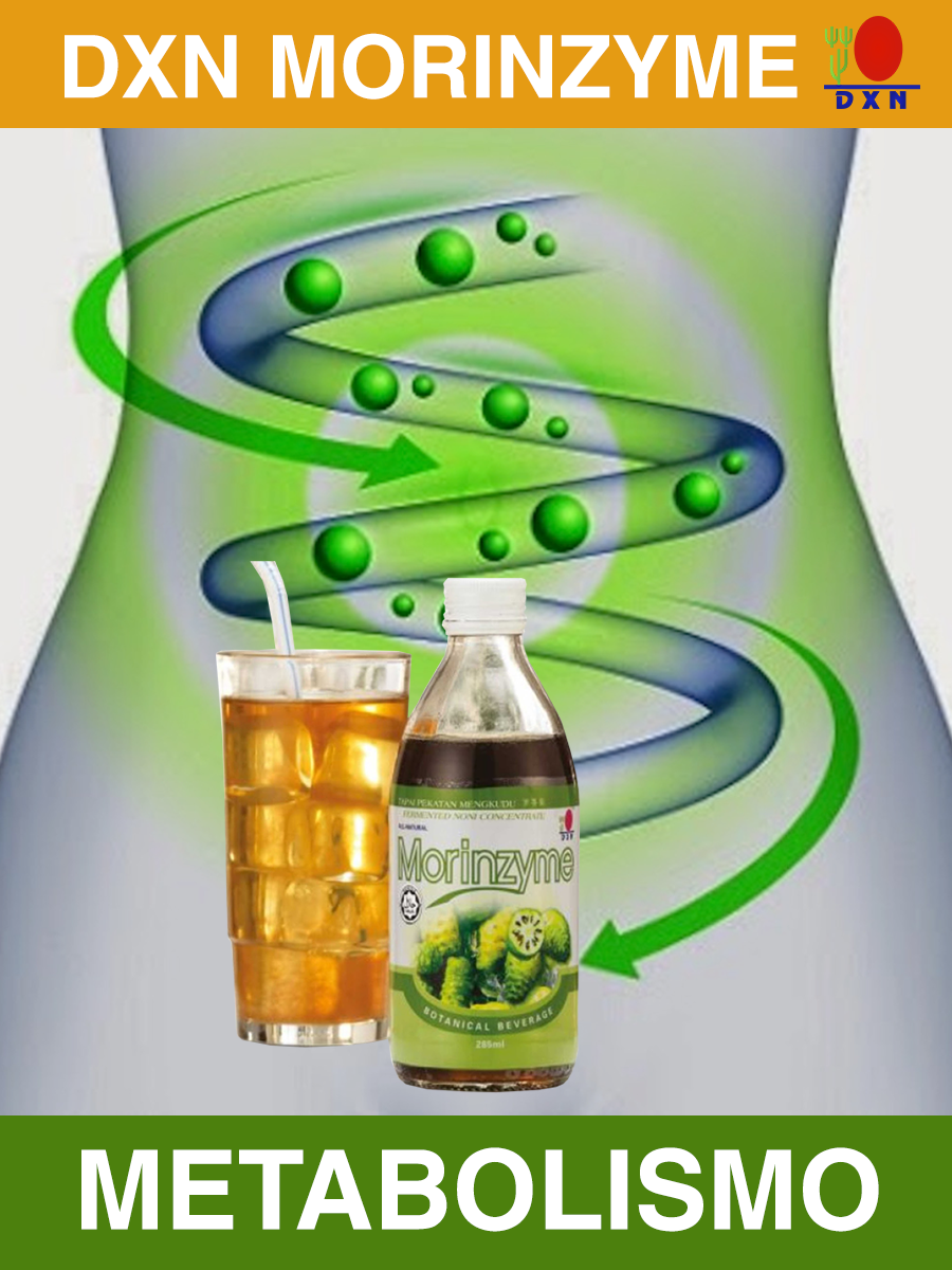 ¿POR QUE CONSUMIR MORINZYME? - DXN SALUD - Dxn Salud y Nutrición