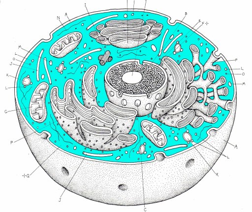 Internet en la escuela. La web 2.0 aplicada a la educación: Partes de ...